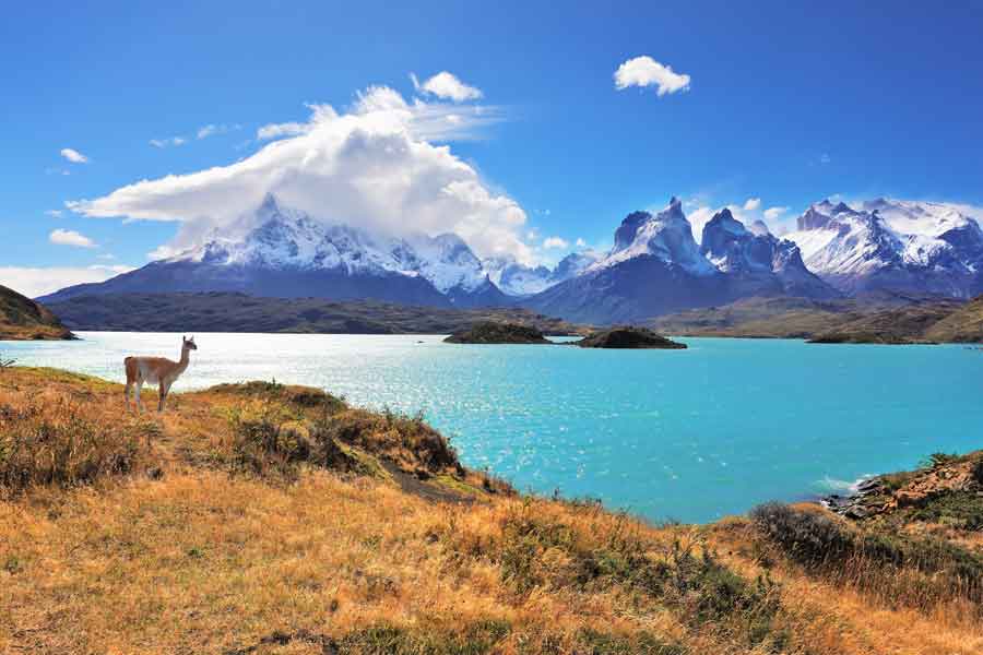 Discover South America’s “Wonders of the World” with Luxury Gold ...