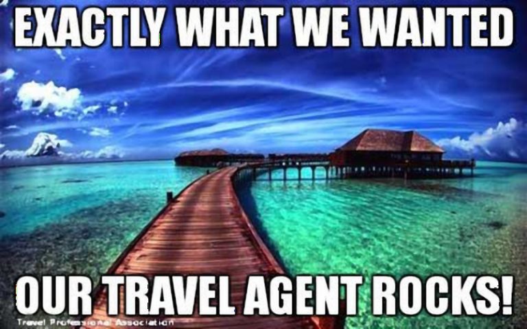 Meme Marketing For Travel Agents in 2020 - Travel Professional NEWS®